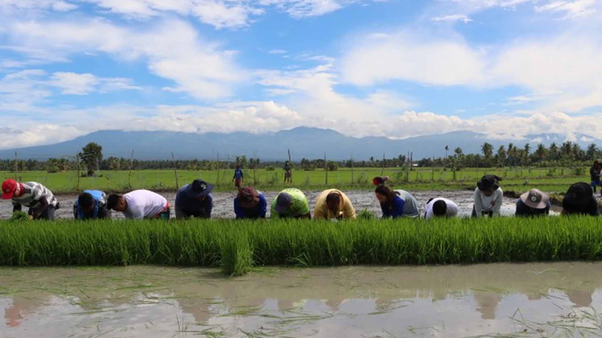 PH Farmers Receive Aid From Japan, Korea - The Mindanao Life