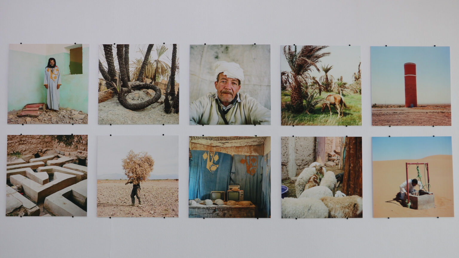 International Photo Exhibit On Press Freedom, Human Rights Opens In ...