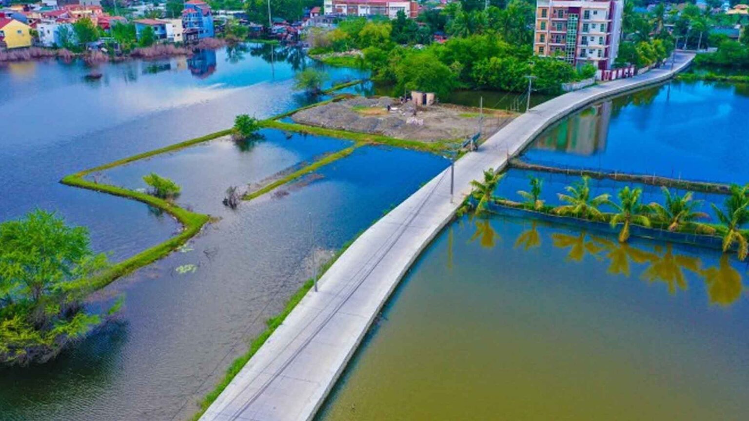 Department Of Agriculture Plans Major Farm-To-Market Roads In Mindanao ...